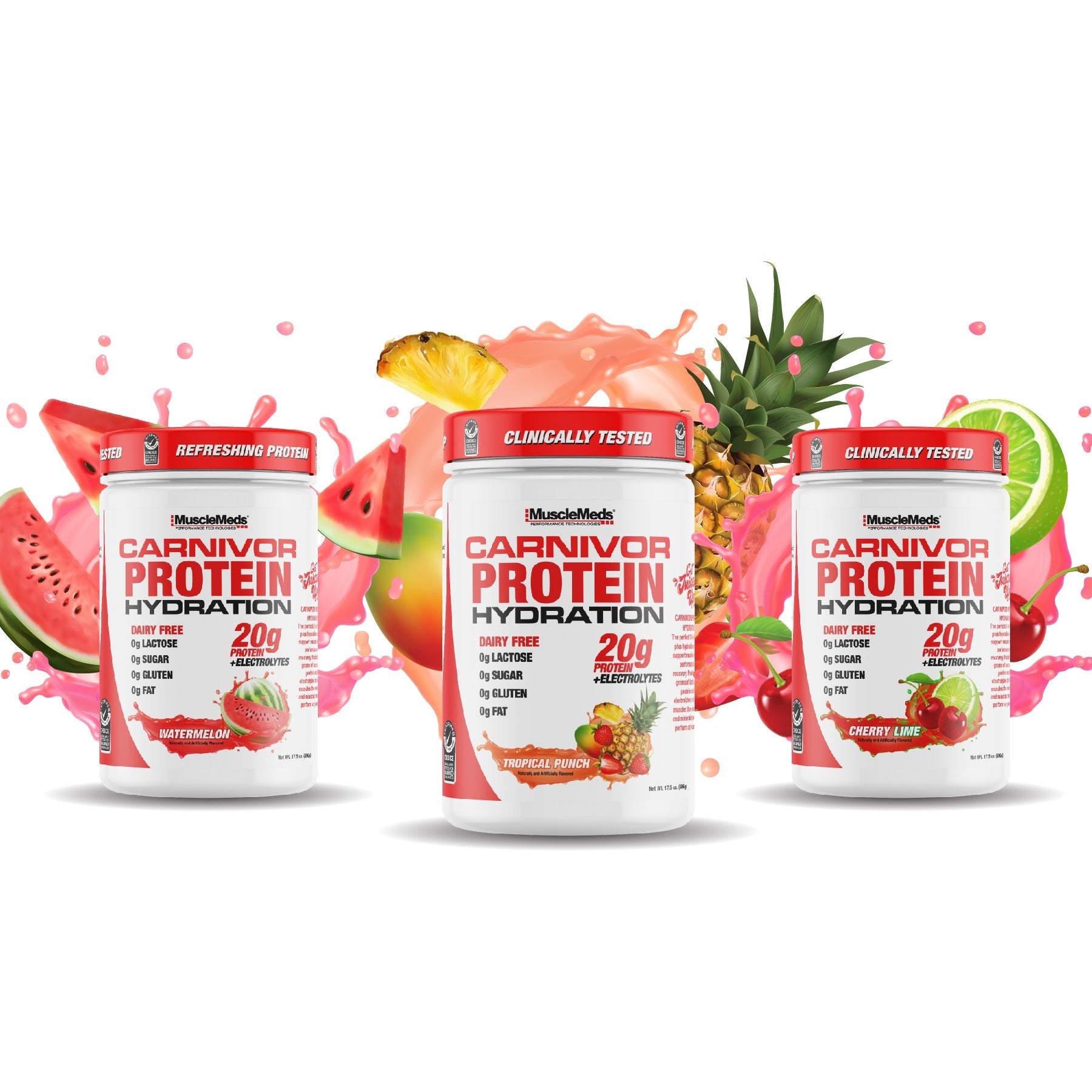 CARNIVOR PROTEIN HYDRATION Powder