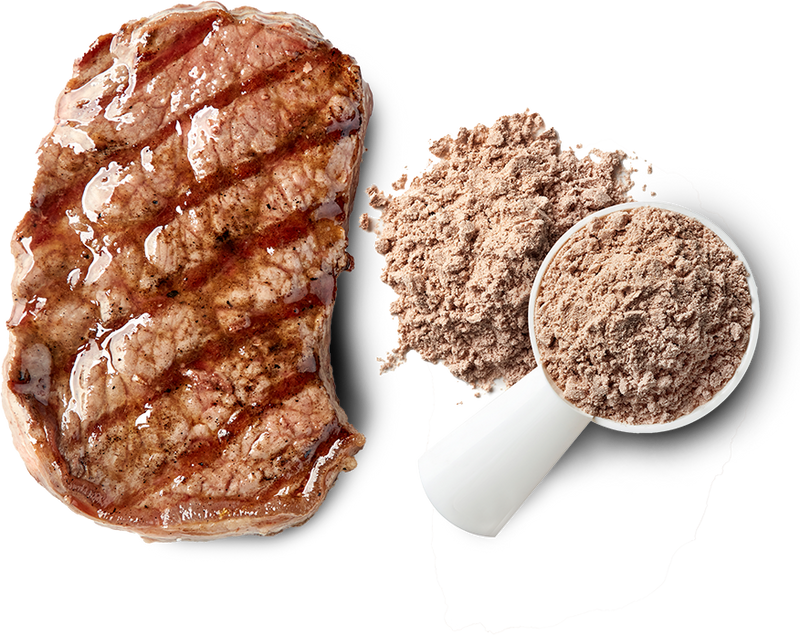 Carnivor 8 lb Bag - 100% Beef Protein